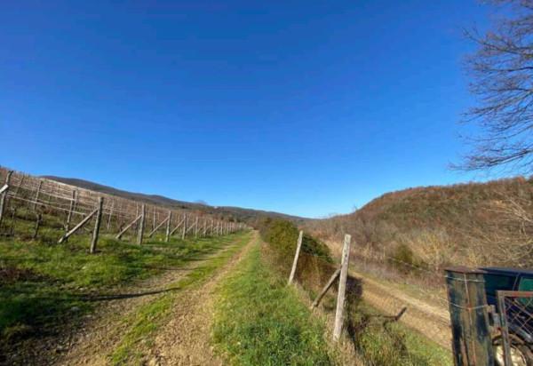 Terreno agricolo in vendita a Allerona