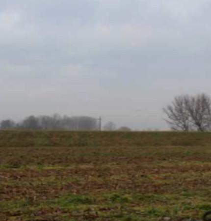 Terreno agricolo in vendita a Veggiano