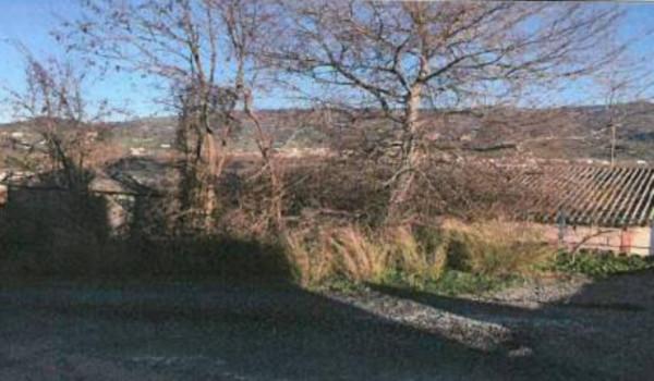 Terreno agricolo in vendita a Lattarico