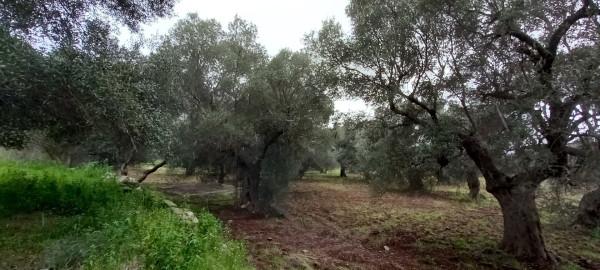 Appartamento in villa in vendita a Villa Castelli