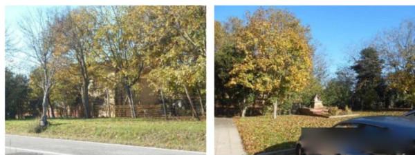 Appartamento in vendita a Agugliaro