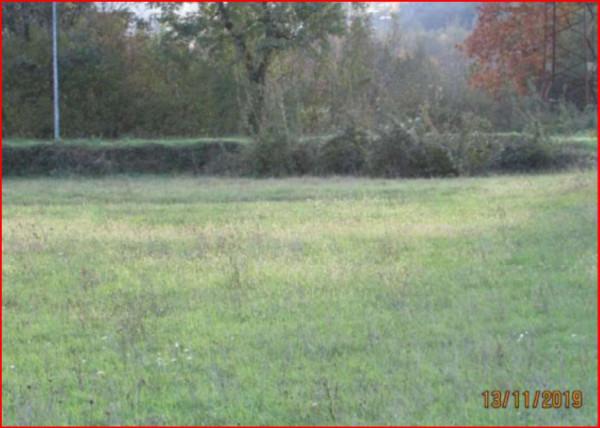 Terreno agricolo in vendita a Filattiera