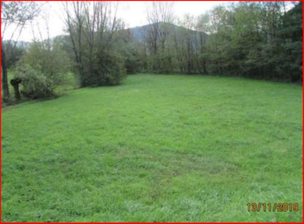 Terreno agricolo in vendita a Filattiera