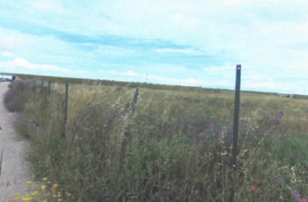 Terreno agricolo in vendita a Foggia