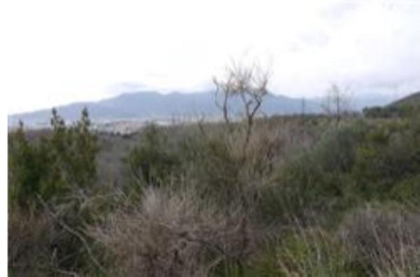 Terreno edificabile residenziale in vendita a Celle Ligure