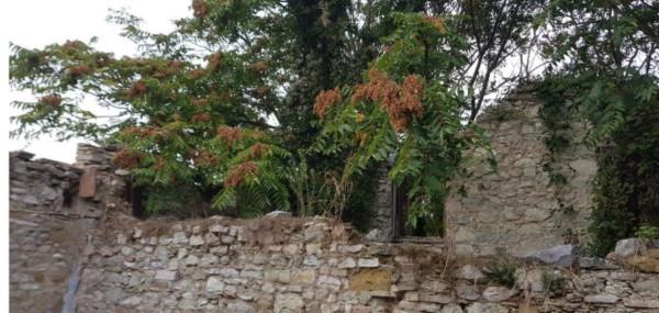 Appartamento in vendita a Pergola
