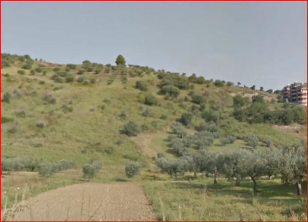 Terreno agricolo in vendita a Vasto