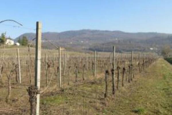 Terreno agricolo in vendita a Brendola