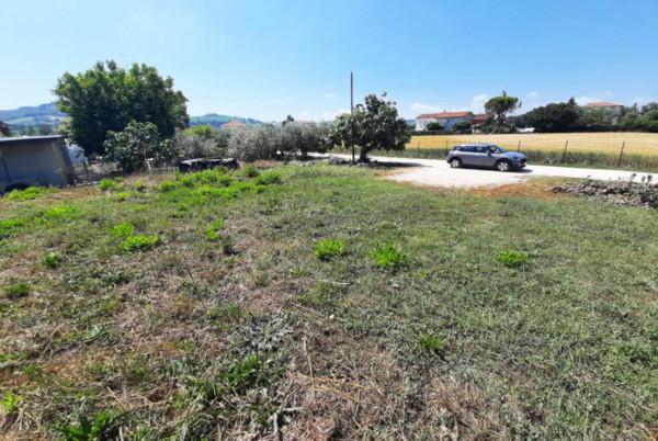 Appartamento in vendita a Monte Urano