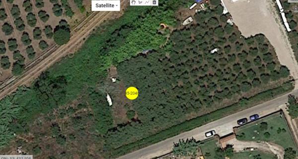 Terreno agricolo in vendita a Fondi