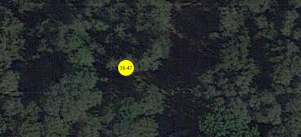 Terreno agricolo in vendita a Villa Di Chiavenna