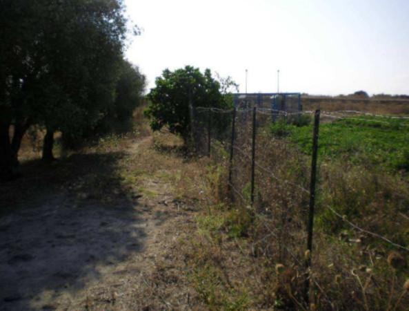 Terreno edificabile commerciale in vendita a Sassuolo