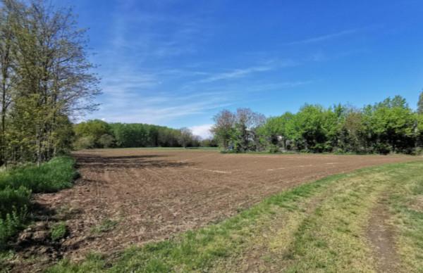 Terreno agricolo in vendita a Pizzighettone
