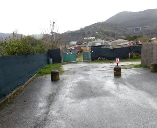 Terreno agricolo in vendita a Massarosa