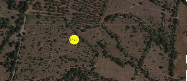 Terreno agricolo in vendita a Cassano Delle Murge