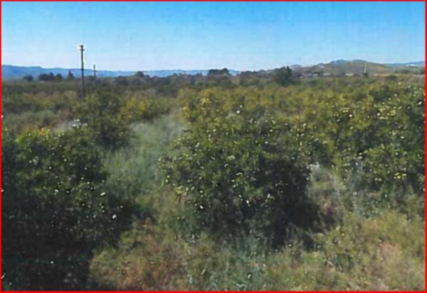 Terreno agricolo in vendita a Mineo
