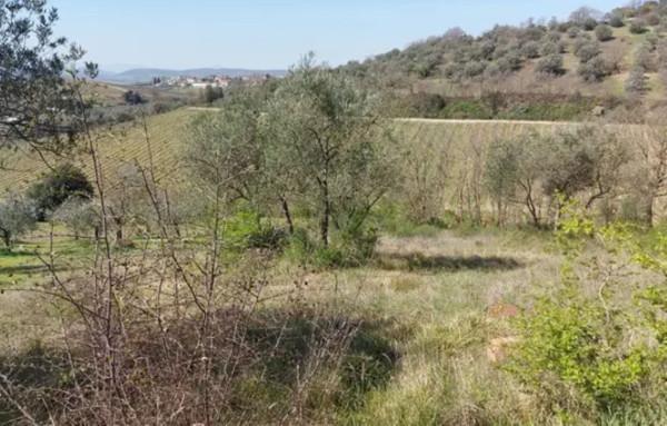 Terreno edificabile residenziale in vendita a Magione