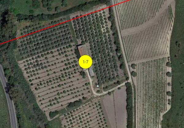 Terreno agricolo in vendita a Villanovafranca