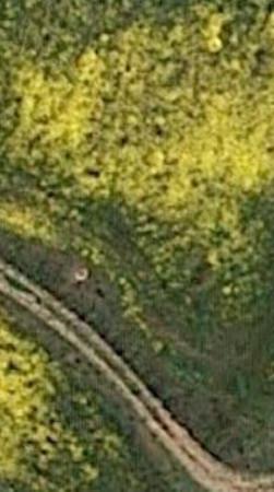 Terreno agricolo in vendita a Lercara Friddi