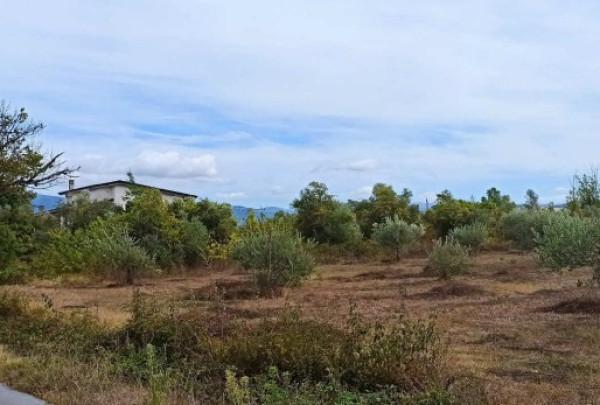 Terreno edificabile artigianale/terziario in vendita a Macchia D'Isernia