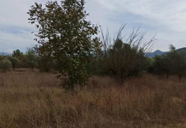 Terreno edificabile residenziale in vendita a Macchia D'Isernia