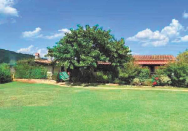 Villa a schiera in vendita a Vicopisano