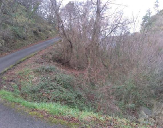 Terreno agricolo in vendita a Perinaldo
