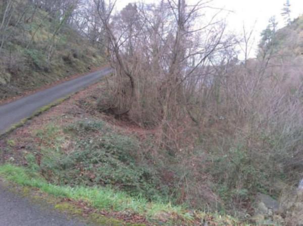 Terreno agricolo in vendita a Perinaldo