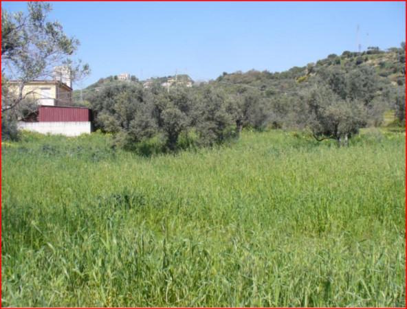 Terreno agricolo in vendita a Siderno