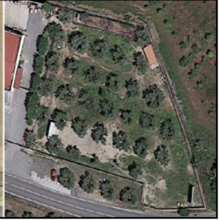 Appartamento in vendita a Petilia Policastro