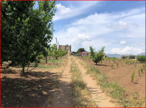 Terreno agricolo in vendita a Pignataro Maggiore