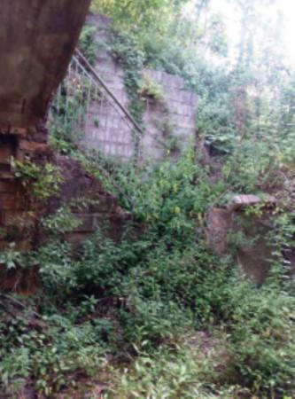 Terreno agricolo in vendita a Petrona'