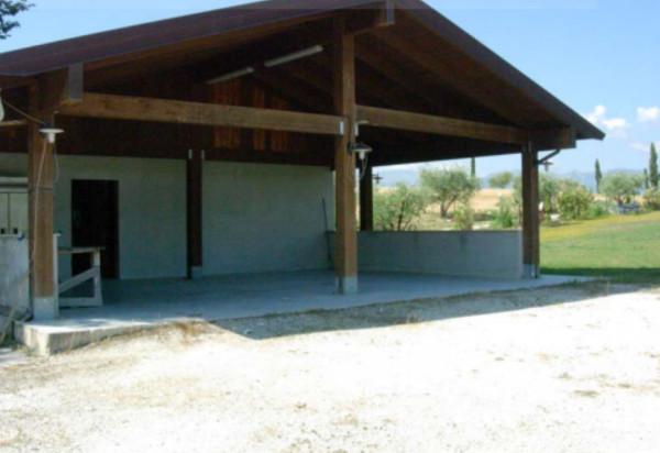 Appartamento in vendita a San Ginesio