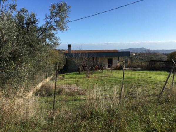 Terreno agricolo in vendita a Controguerra