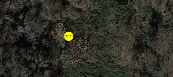 Terreno agricolo in vendita a Campagnano Di Roma