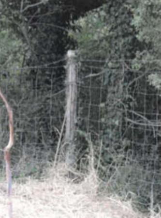 Terreno agricolo in vendita a Allumiere
