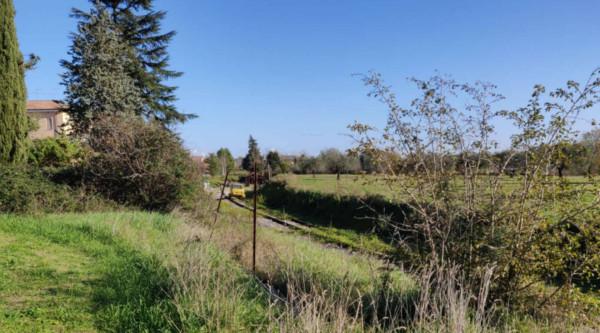Terreno agricolo in vendita a Fossombrone
