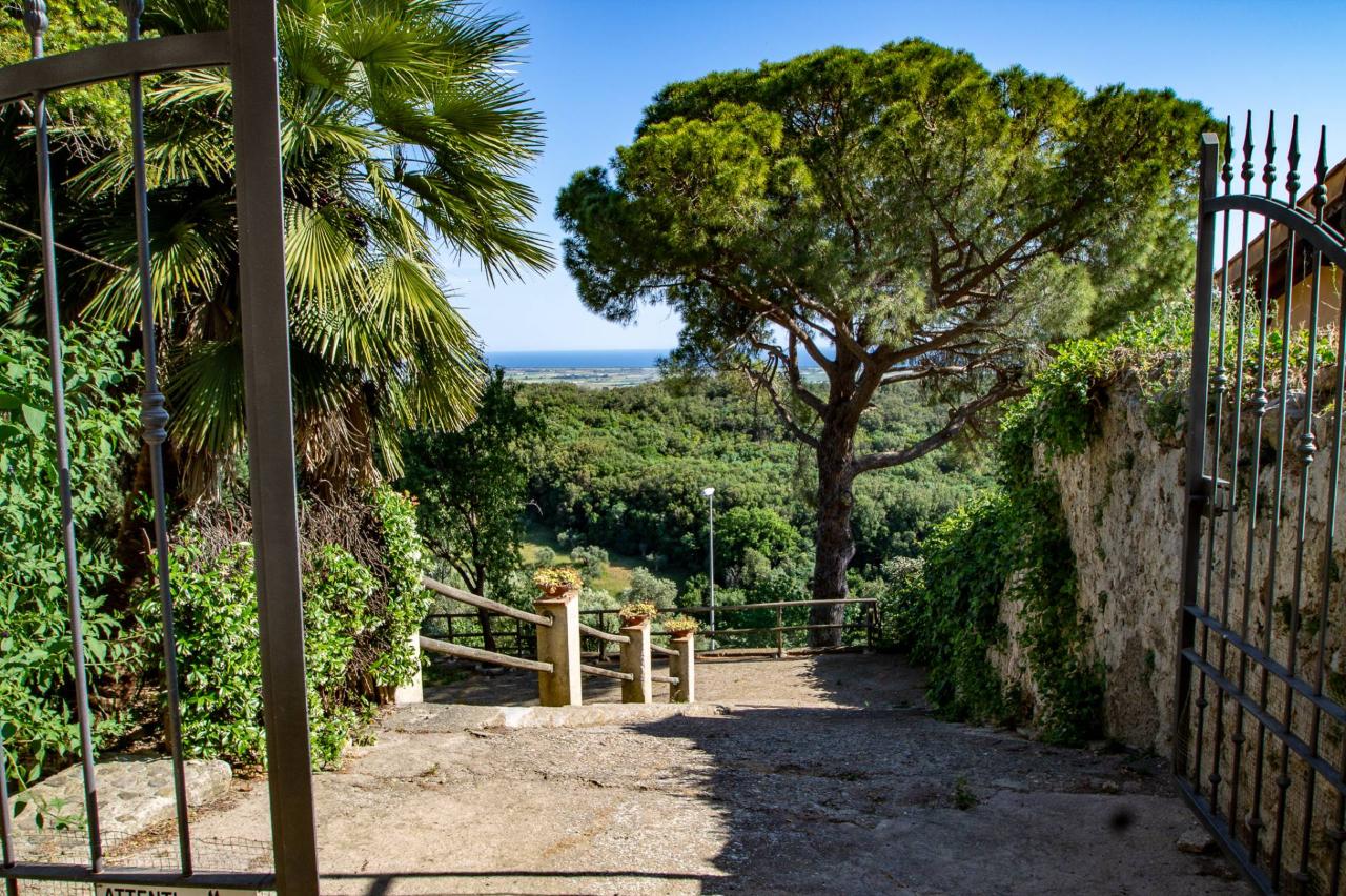 Appartamento in vendita a Capalbio