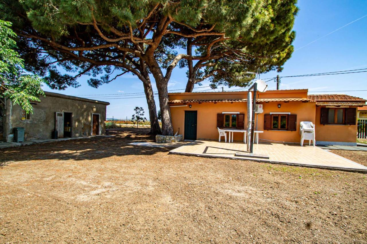 Immobile residenziale in vendita a Montalto Di Castro