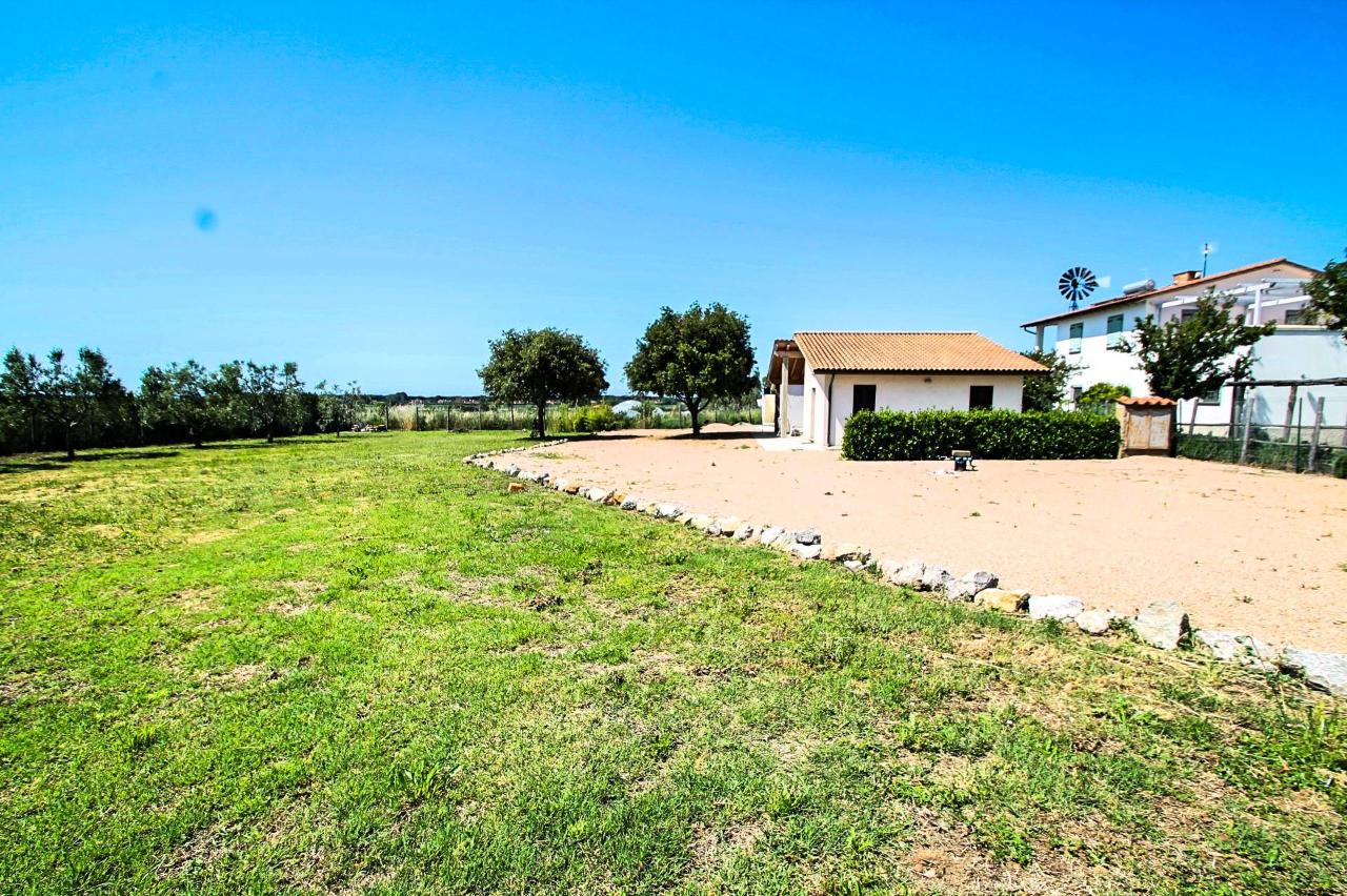 Appartamento in affitto a Montalto Di Castro