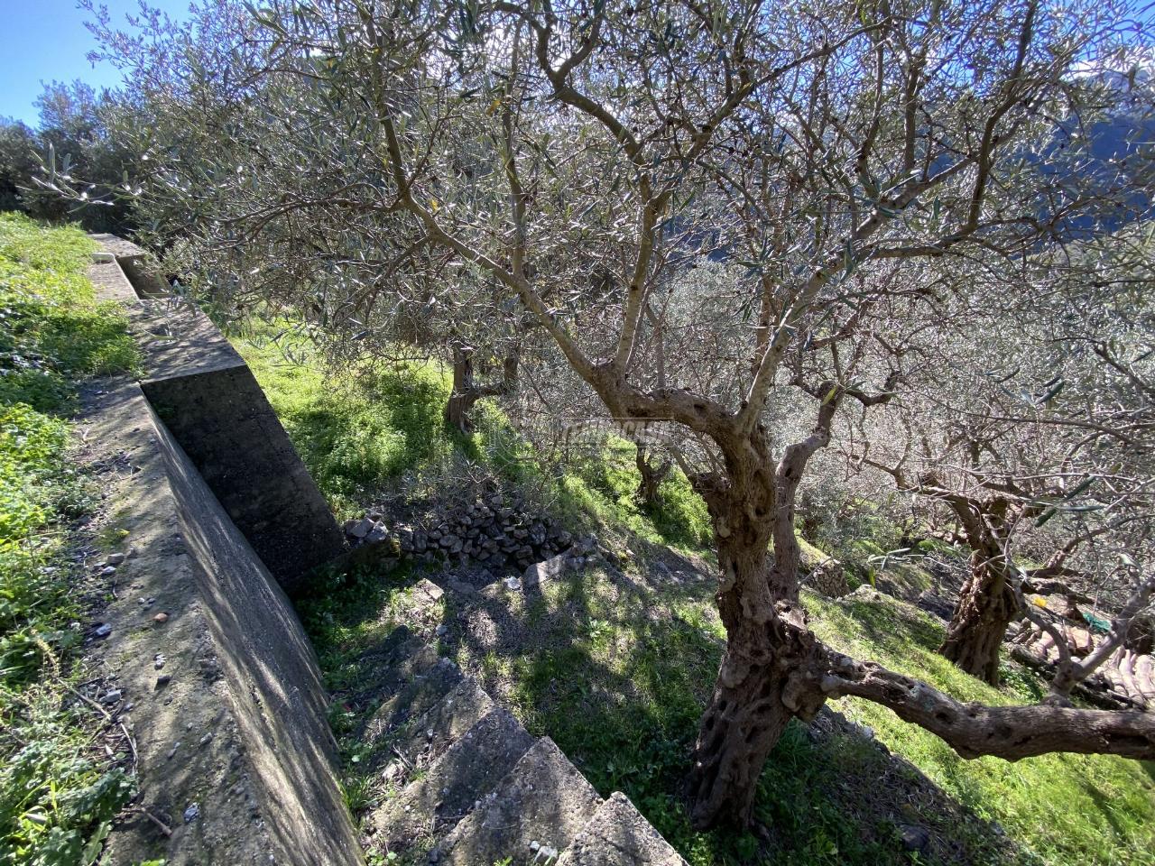 Terreno agricolo in Strada Provinciale 35 2, Messina