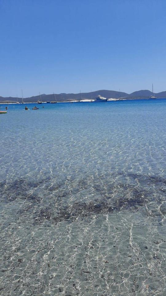 Appartamento in vendita a Alghero