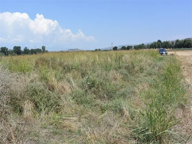 Terreno agricolo in vendita a San Marco Argentano