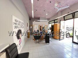 Azienda in vendita a Carpi