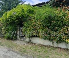 Appartamento in vendita a Novellara