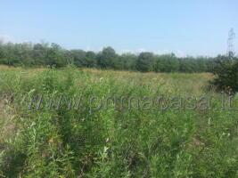 Terreno agricolo in vendita a Bussolengo