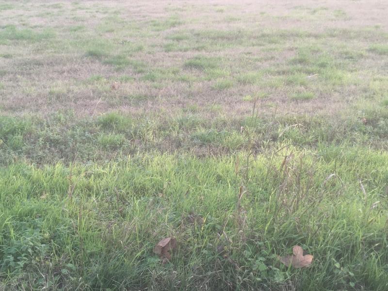 Terreno edificabile in vendita a Buttapietra
