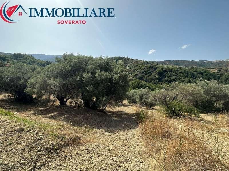 Terreno agricolo in vendita a Isca sullo Ionio