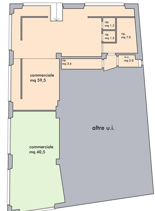 Esercizio commerciale in affitto a Pisa