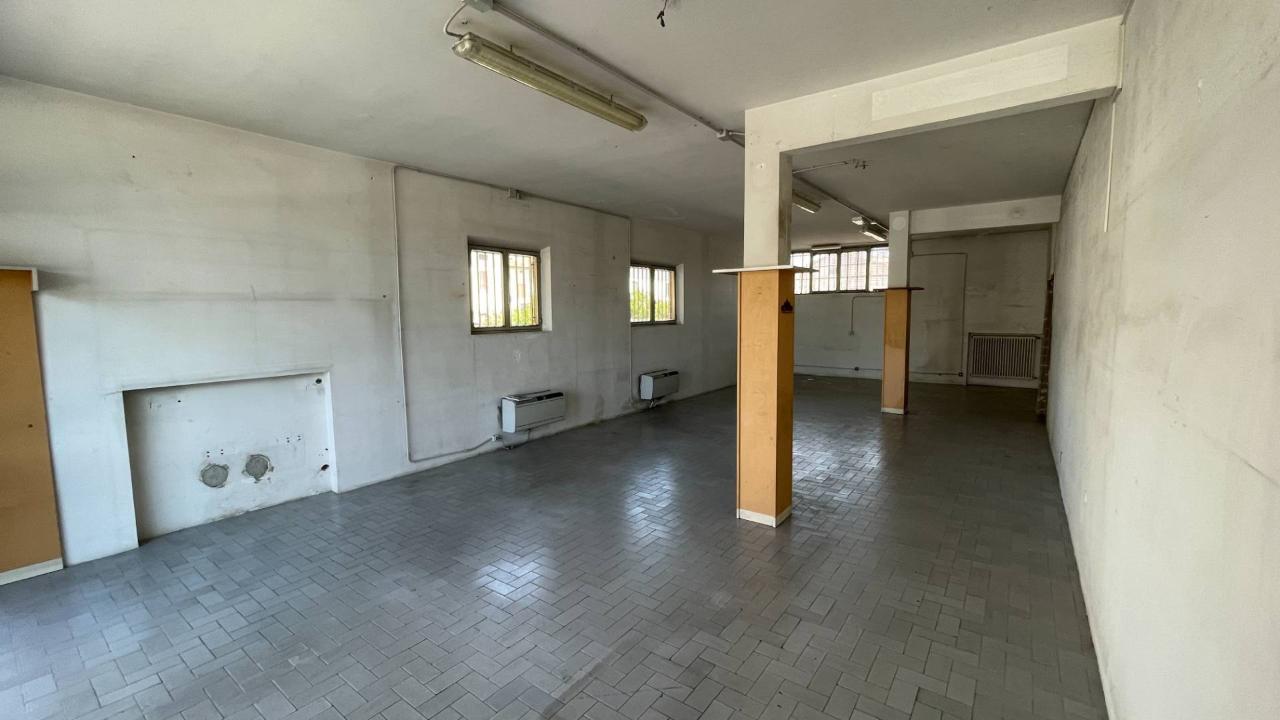Esercizio commerciale in affitto a Pisa